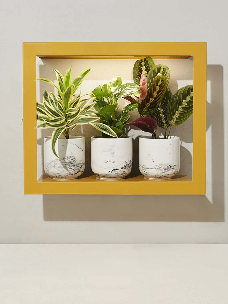 Modern Sprout's Smart Growframe creates an optimal growing environment ...